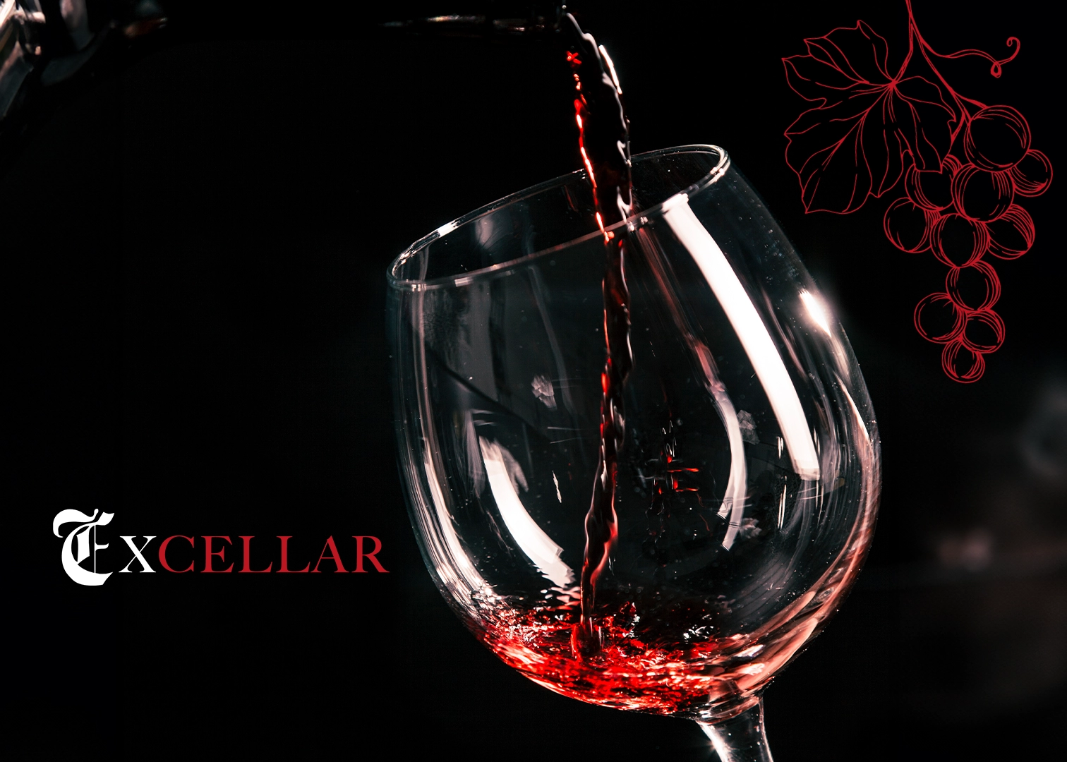 Excellar, des vins pas comme les autres